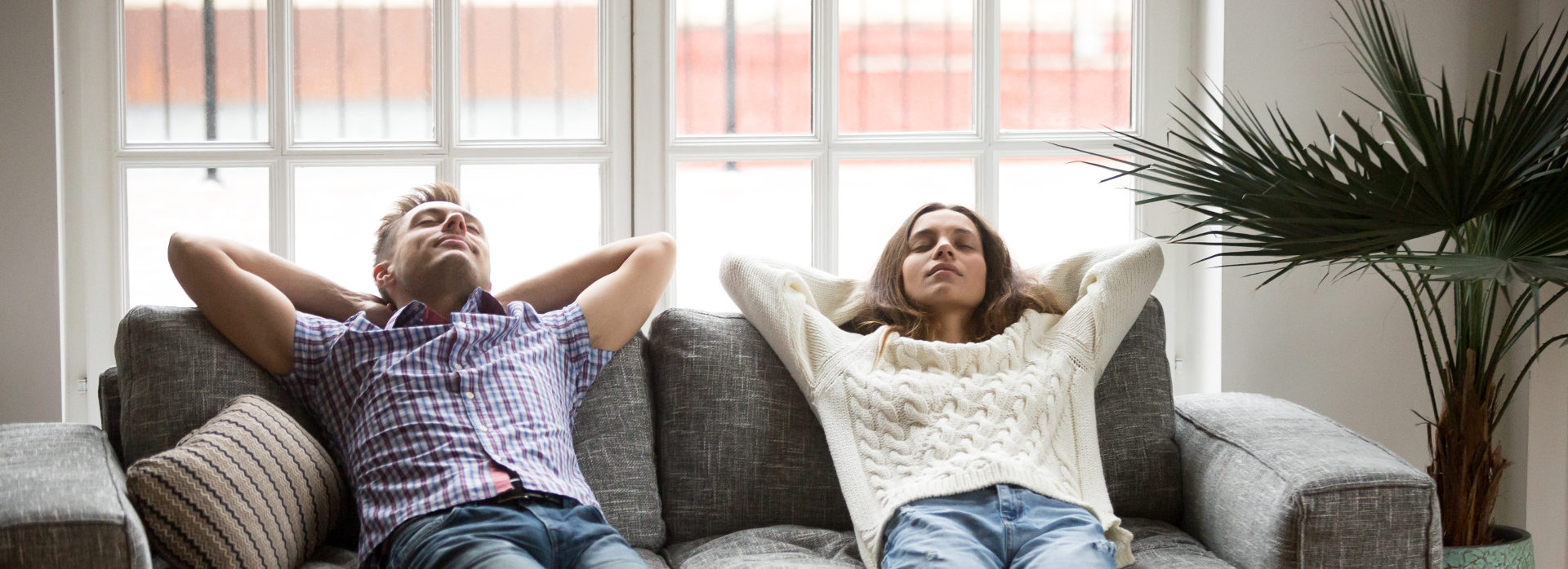 The Fresh Feel Creators